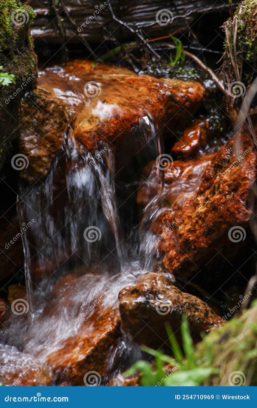 Vertical Shot of a Small Forest Hillside Waterfall Streaming into the ...