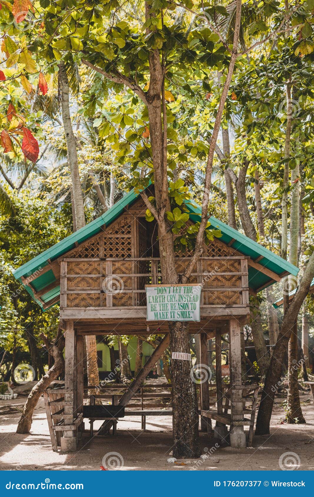 Vertical Shot of a Small Hut Surrounded by Trees during Daytime ...