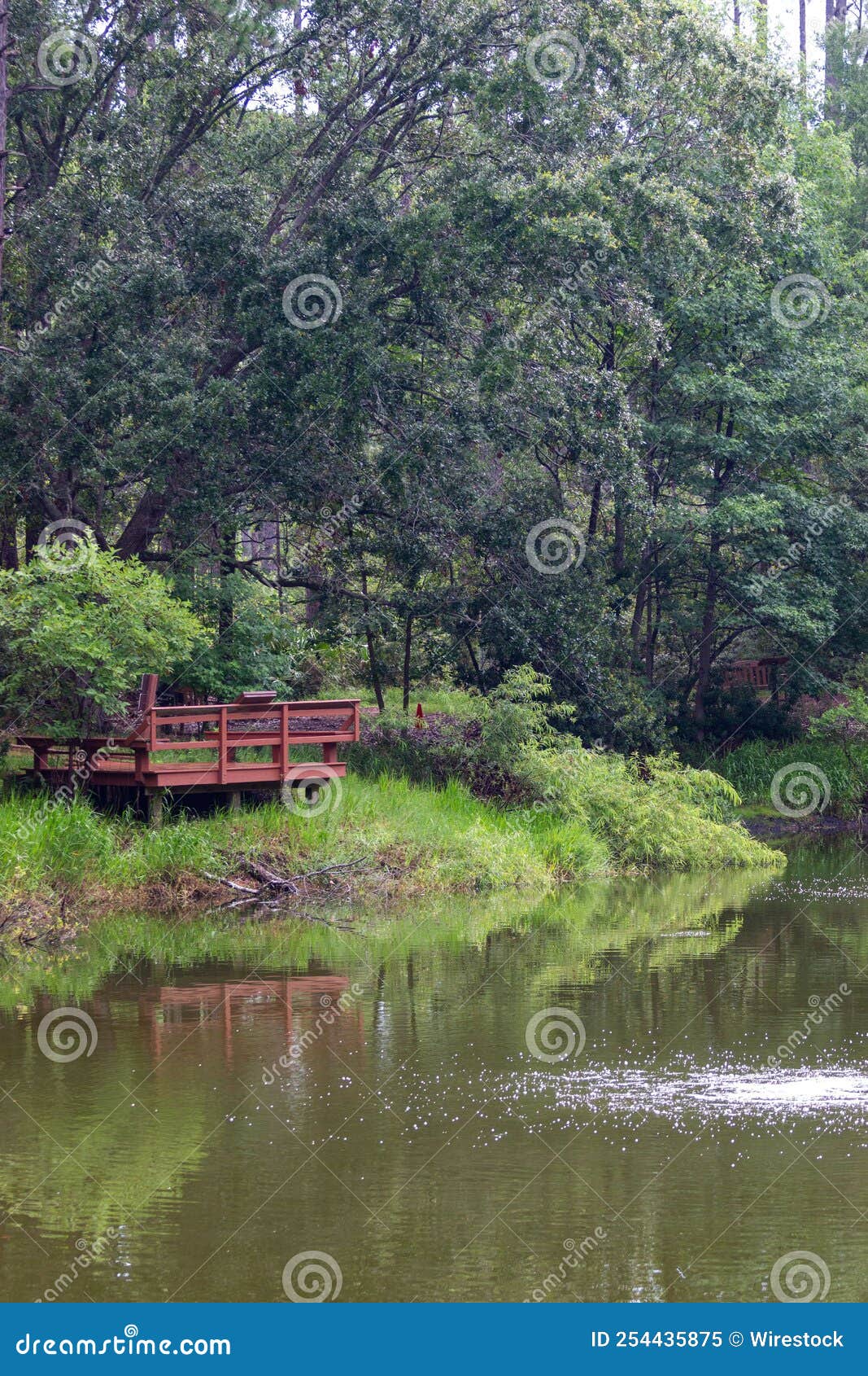 Vertical Shot of Small Observation Deck in the Park among Lush Trees ...