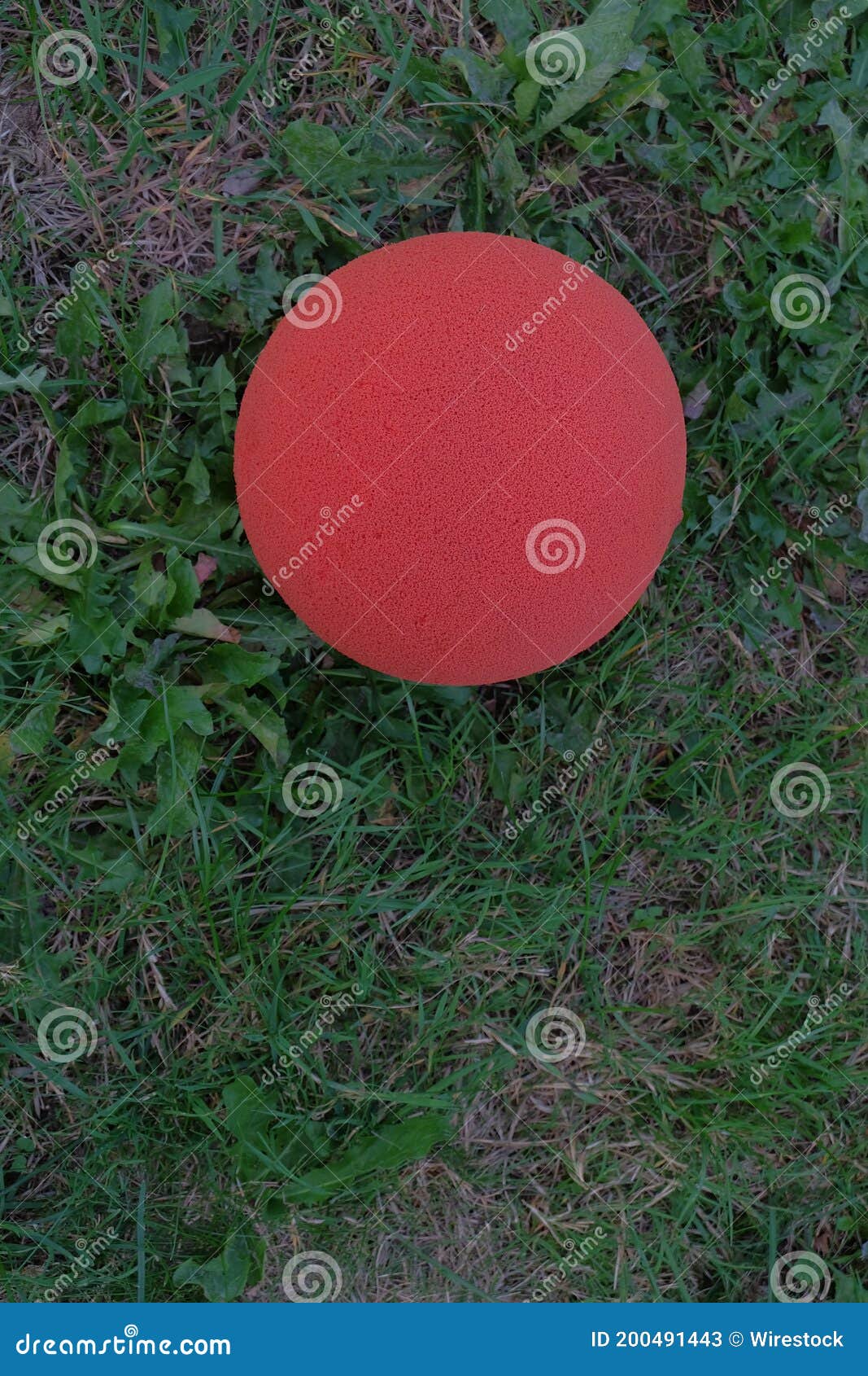 Vertical Shot of a Small Red Ball Stock Image - Image of recreational ...