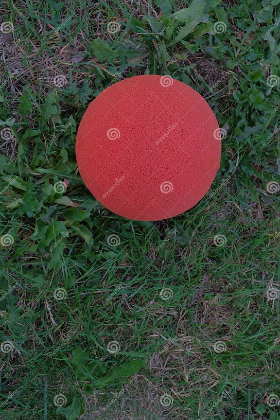 Vertical Shot of a Small Red Ball Stock Image - Image of recreational ...