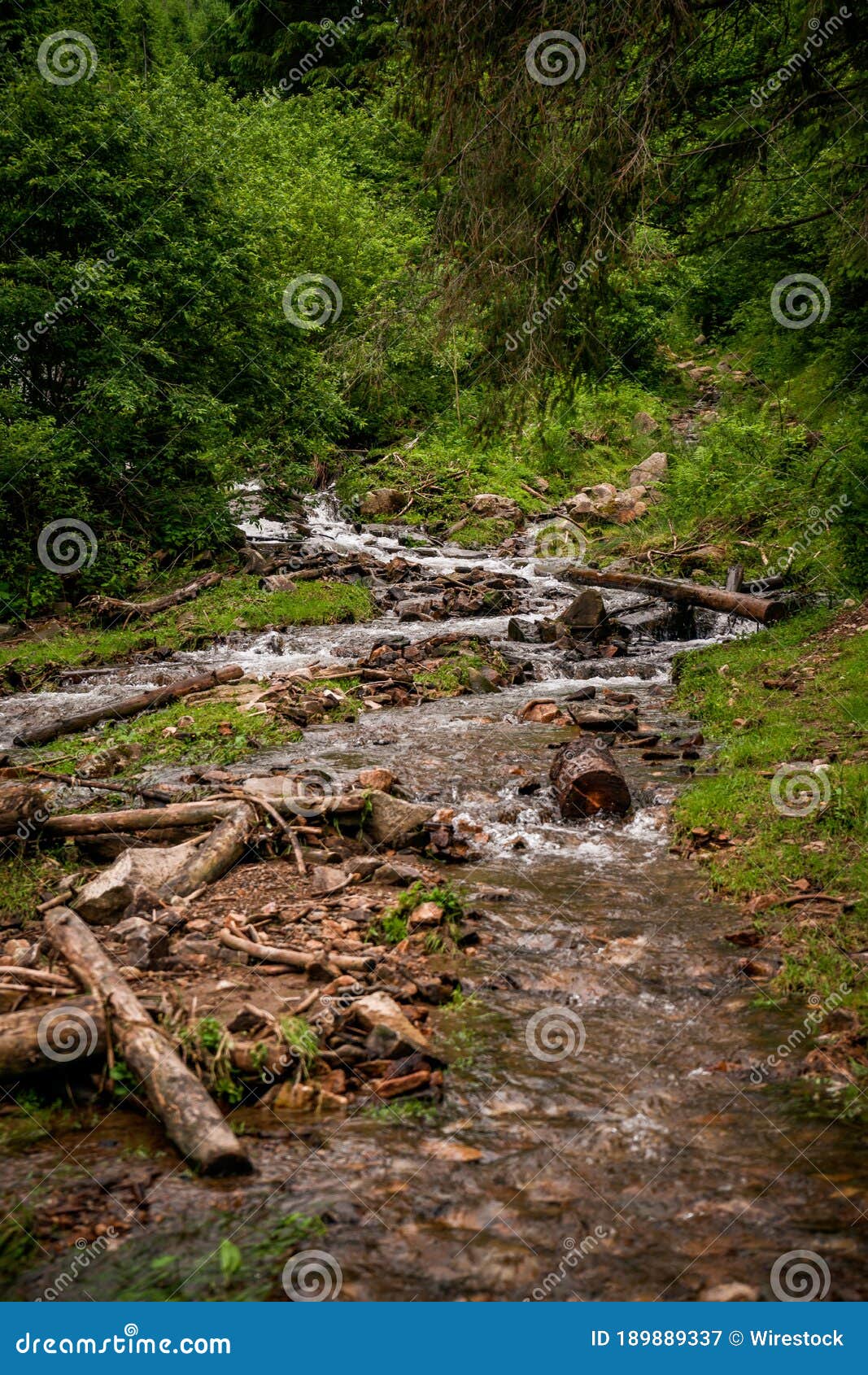 Vertical Shot of a Small River Surrounded by Rocks and Greenery in a ...