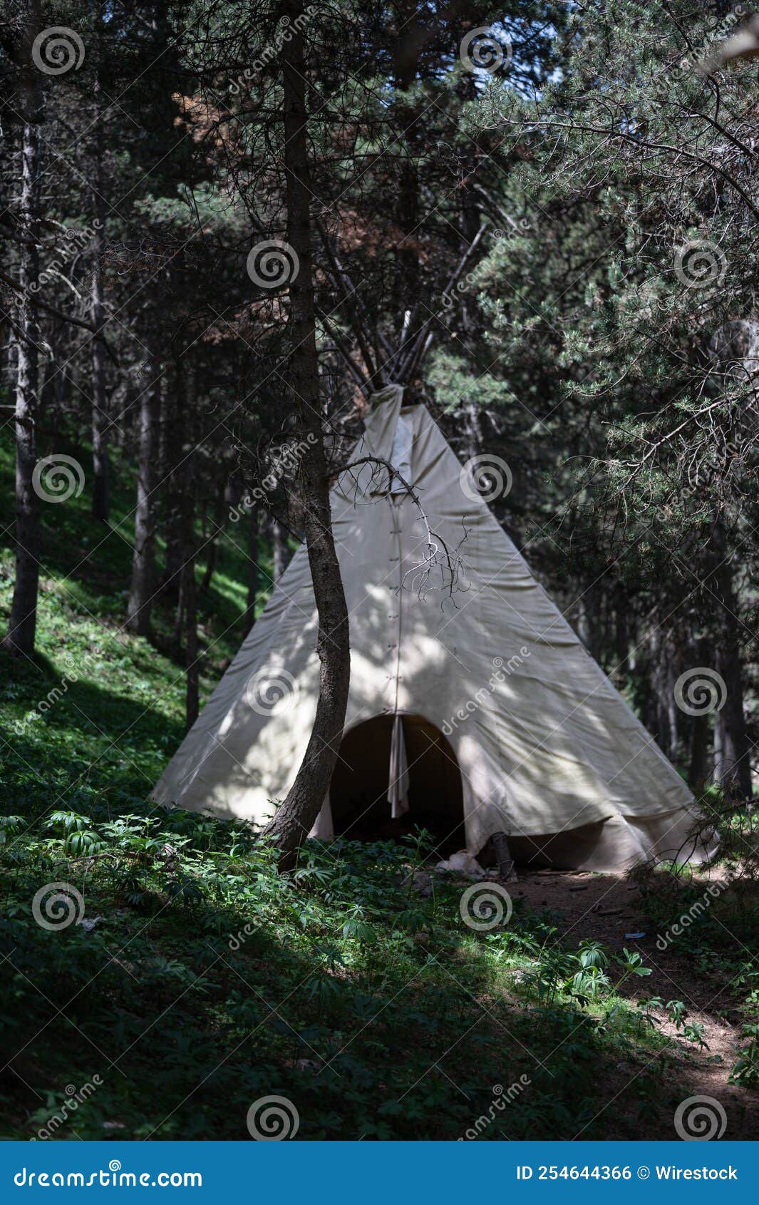 Vertical Shot of a Small White Indian Tipi Hut in the Woods with Green ...