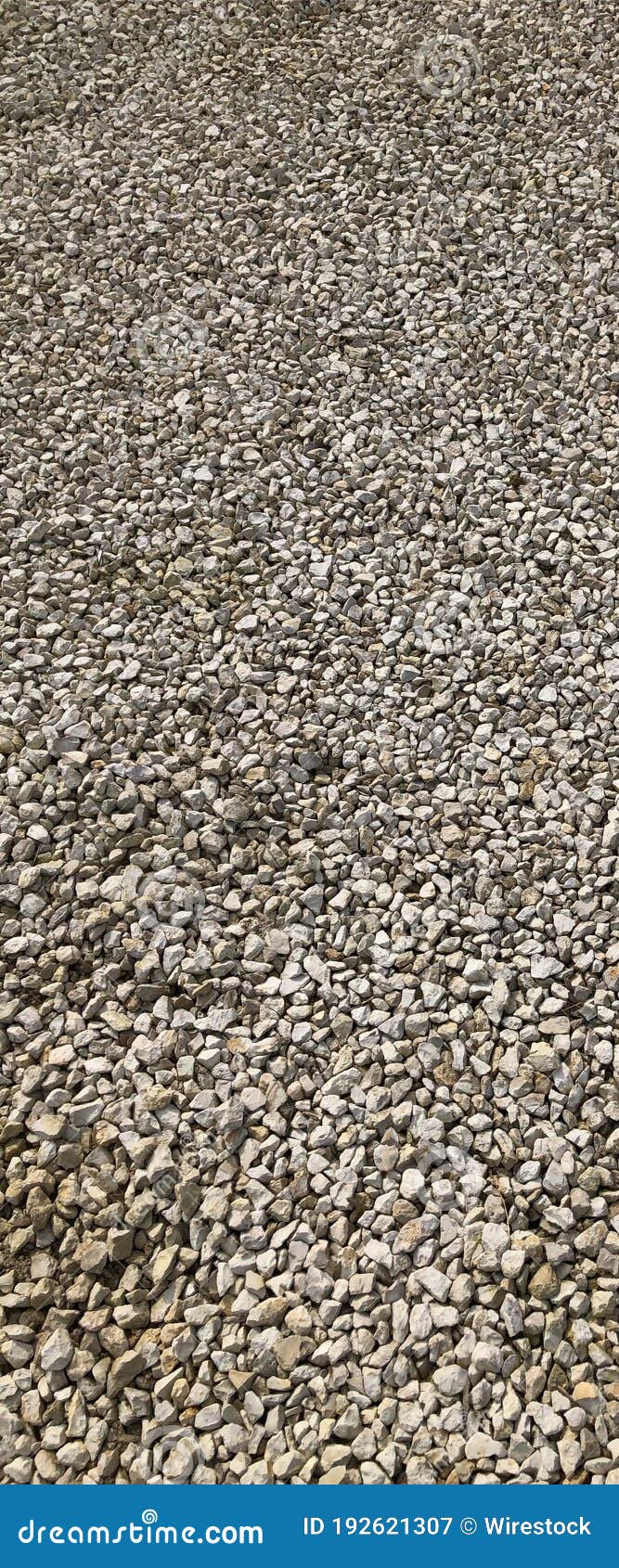 Vertical Shot of Small White Pebbles on the Ground Stock Image - Image ...