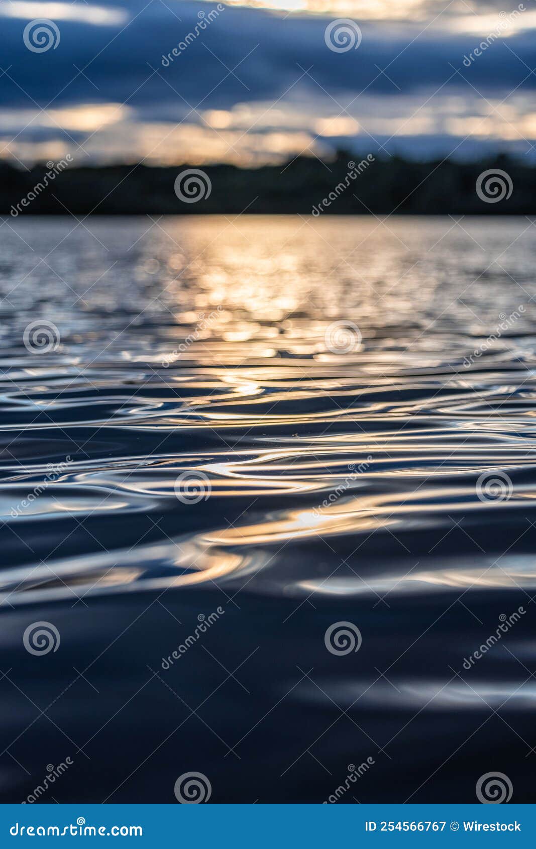 Vertical Shot of Smooth and Calm Water Ripples with the Sunset ...