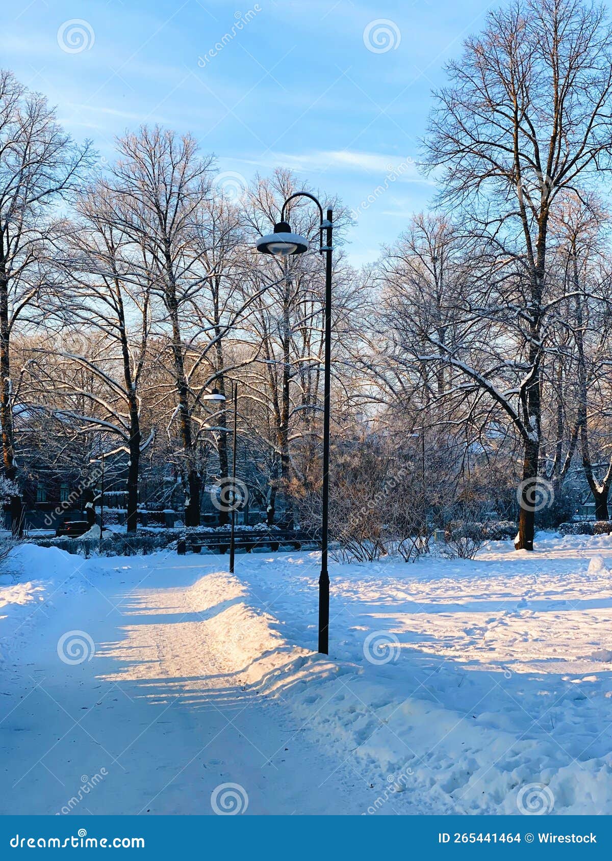 Vertical Shot of a Snow-covered Pathway in Winter Stock Photo - Image ...