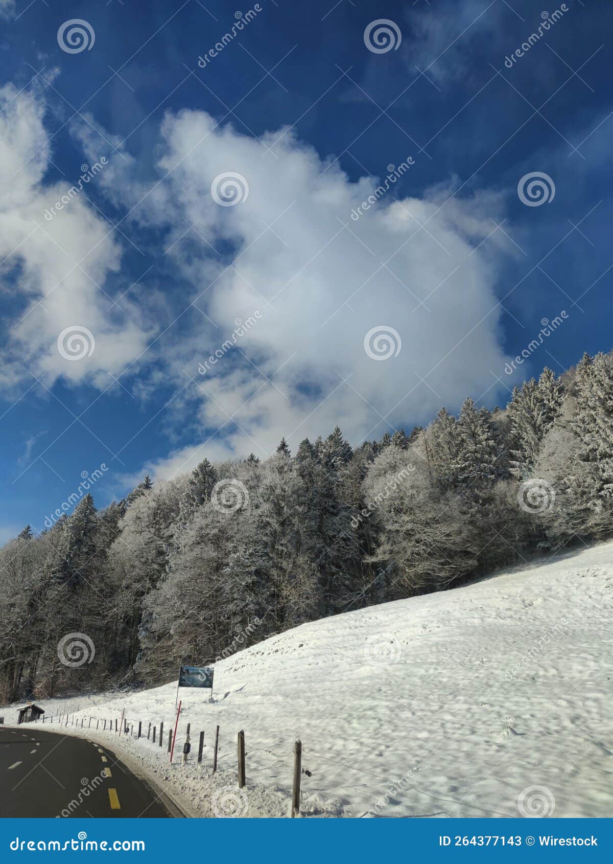 Vertical Shot of Snow Covered Pine Trees on the Side of a Mountain ...