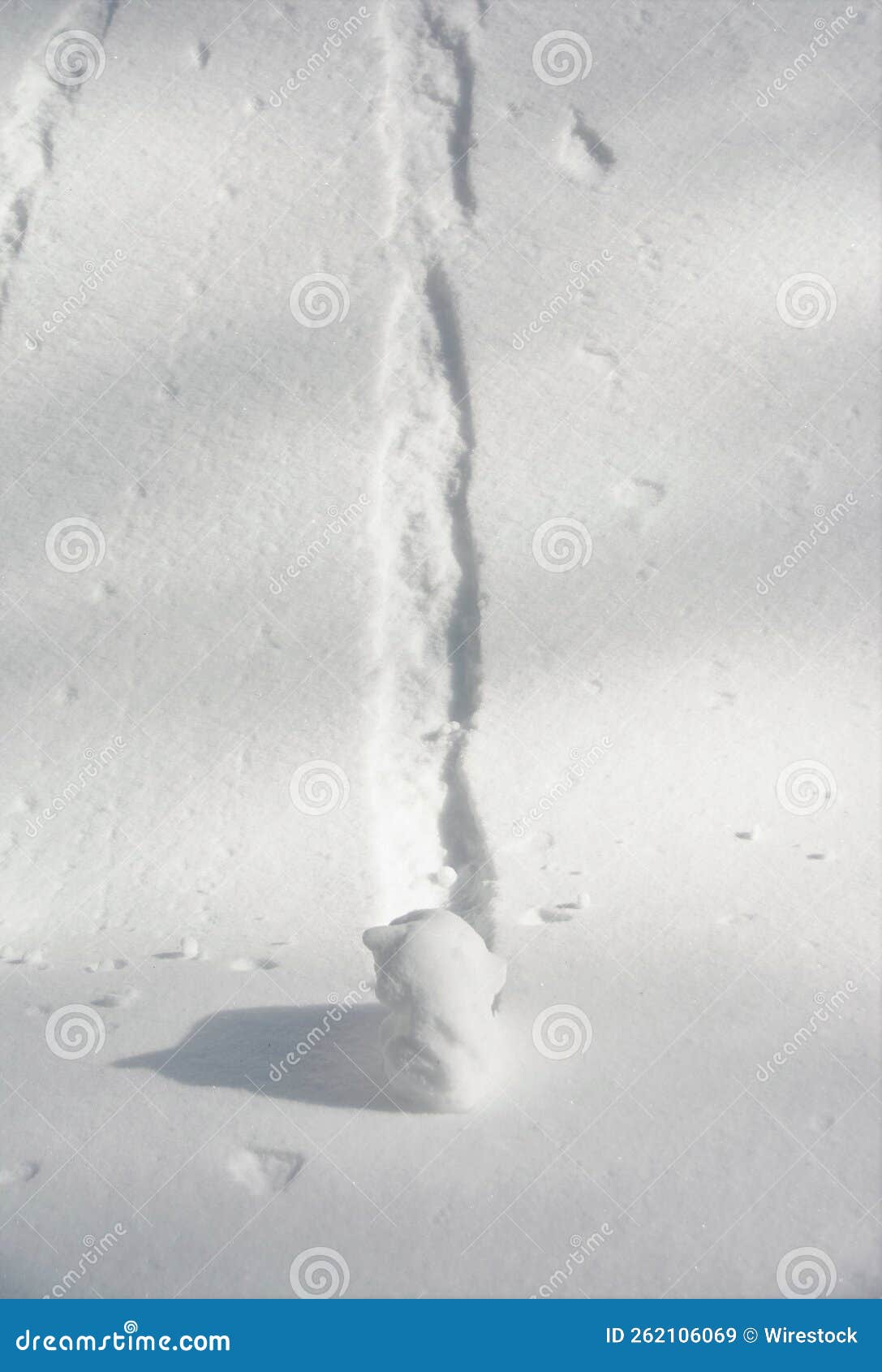 Vertical Shot of a Snowball Rolling Down a Slope Stock Image - Image of ...