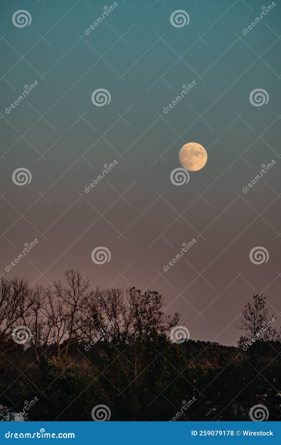 Vertical Shot of a Soft Dusk in the Sky with a Moon Stock Photo - Image ...