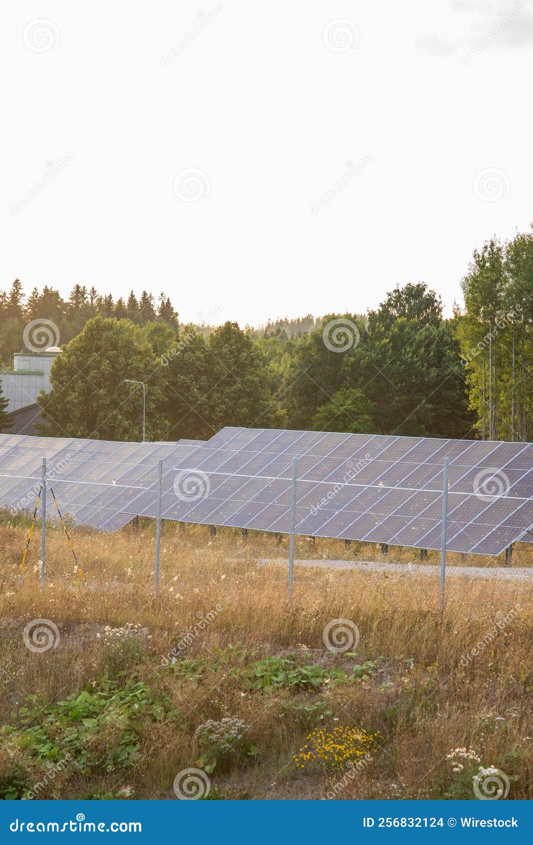 Vertical Shot of Solar Panels in a Field Stock Photo - Image of ...
