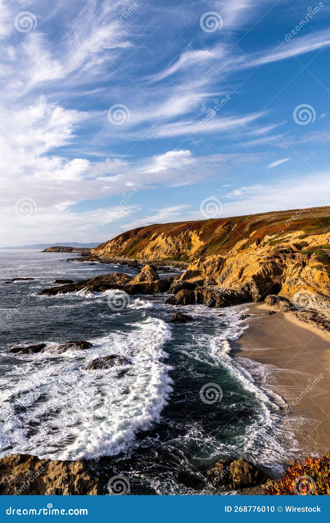 Vertical Shot of the Sonoma Coast from Bodega Head Stock Photo - Image ...