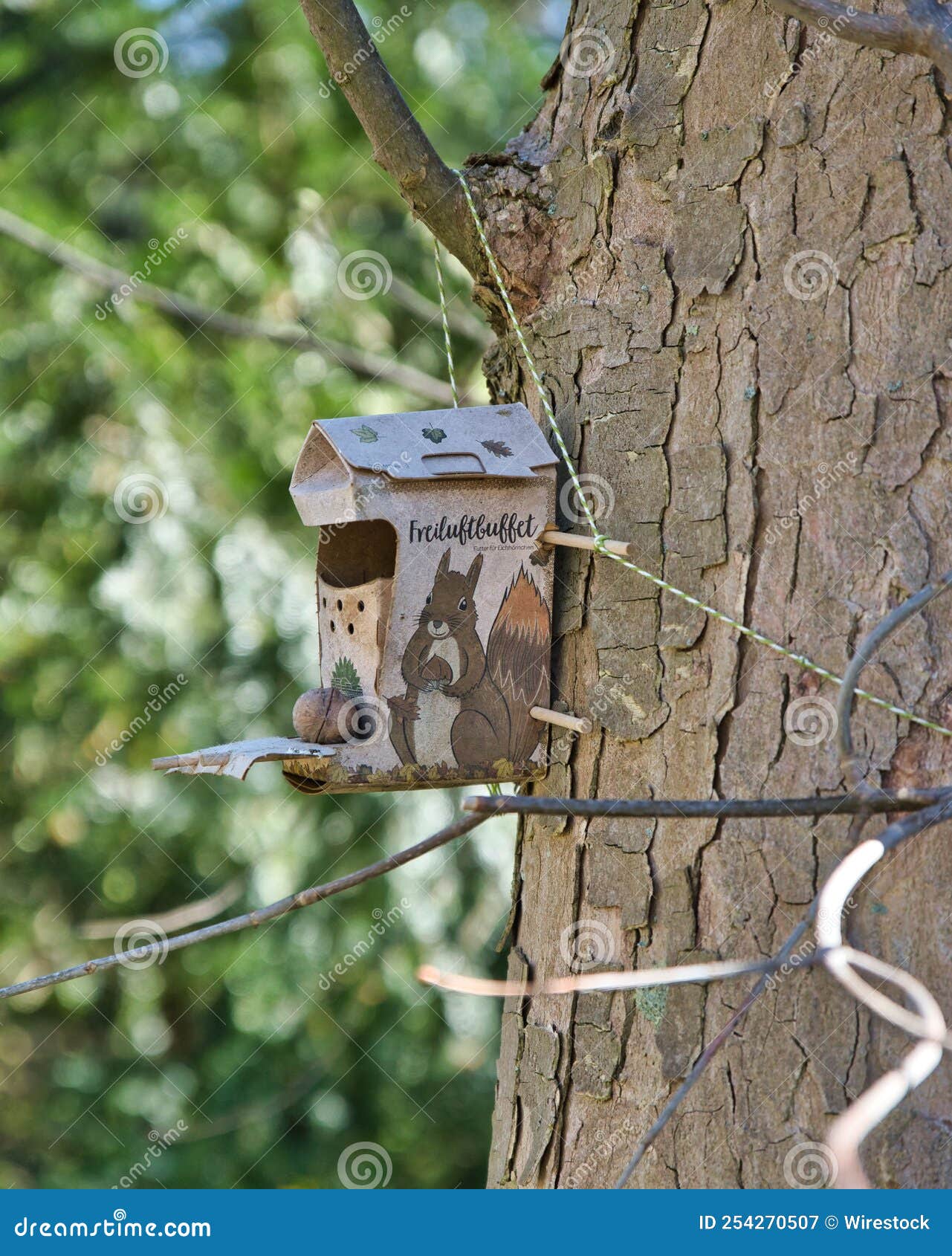 Vertical Shot of a Squirrel Feeder Hanging on a Tree Stock Image ...