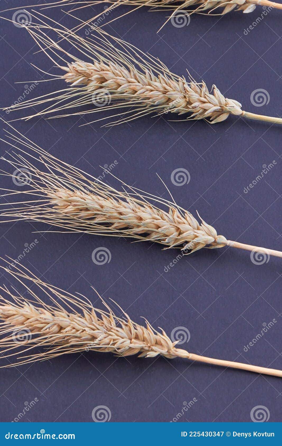 Vertical Shot Stack of Cereal Grains Isolated on Black Background ...