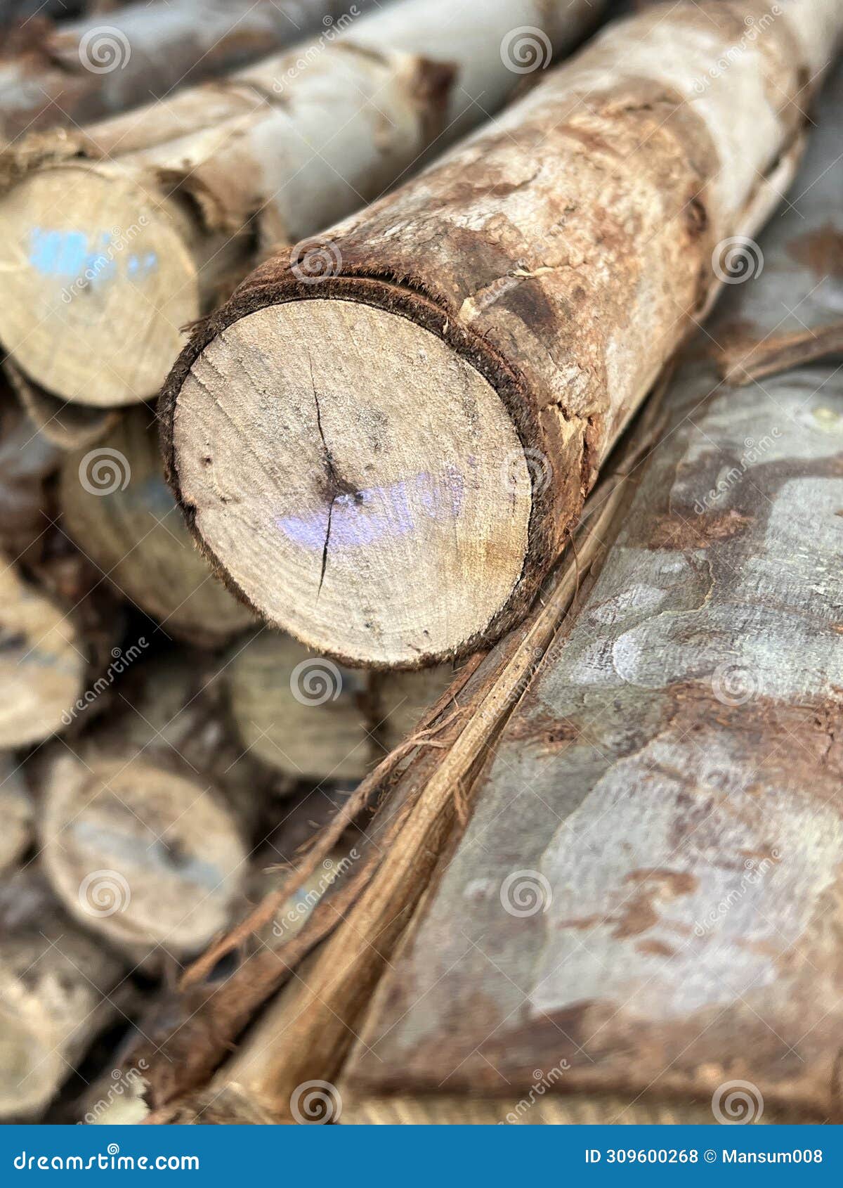 A Vertical Shot of a Stack of Logs Stock Photo - Image of texture ...