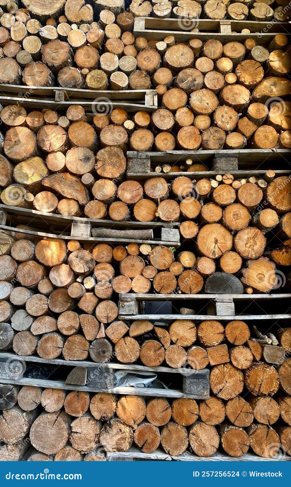 Vertical Shot of the Stacks of Logs Stock Photo - Image of material ...