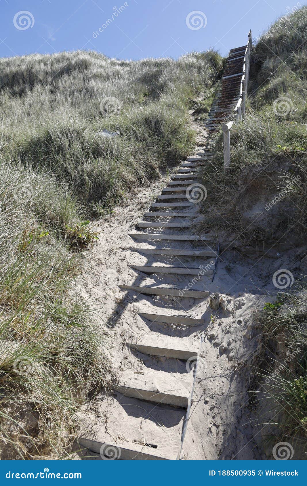 Vertical Shot of Stairs Surrounded with Grass in Lonstrup, Denmark ...