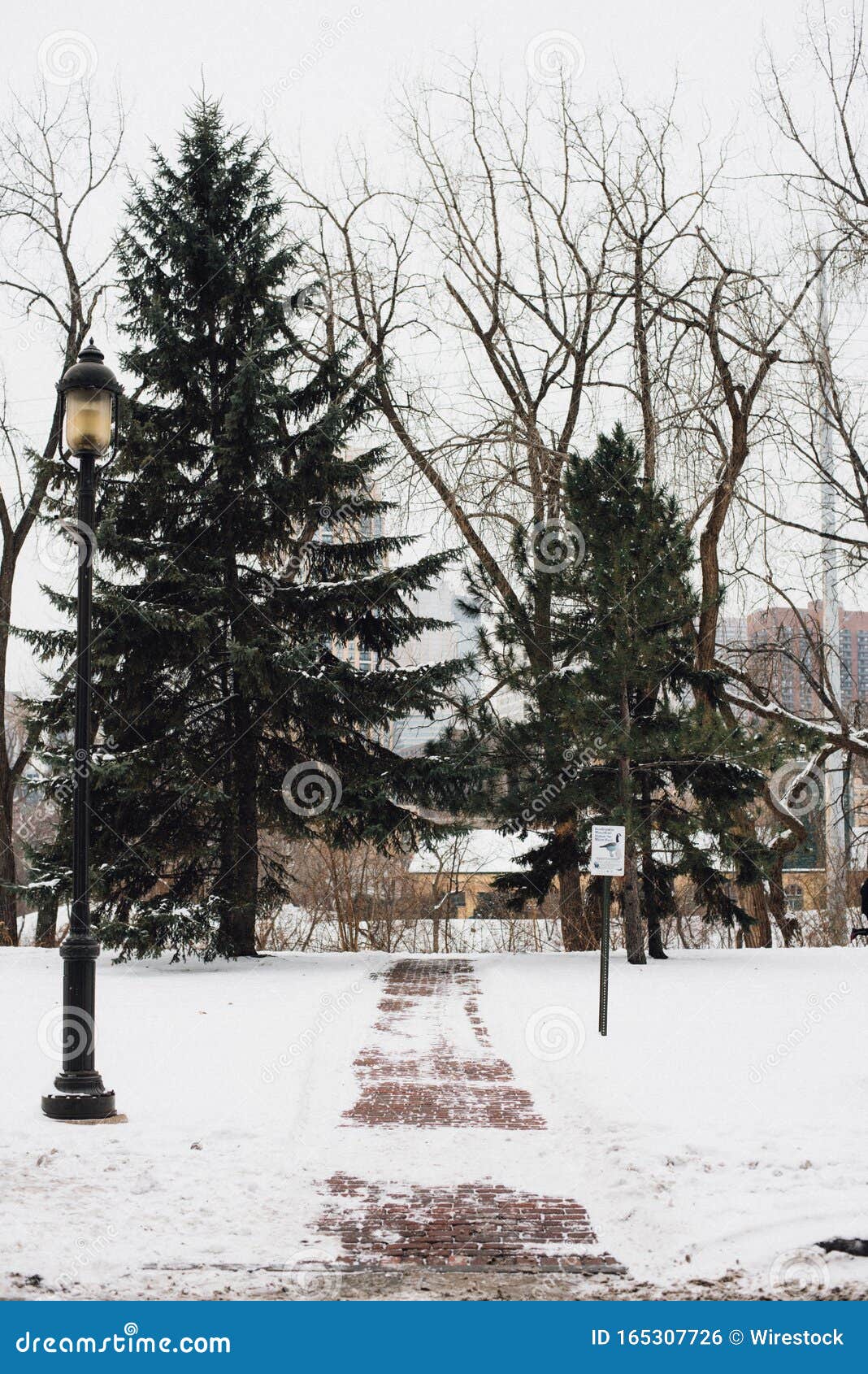 Vertical Shot of a Stone Path in the Park Covered with Snow on a Cold ...