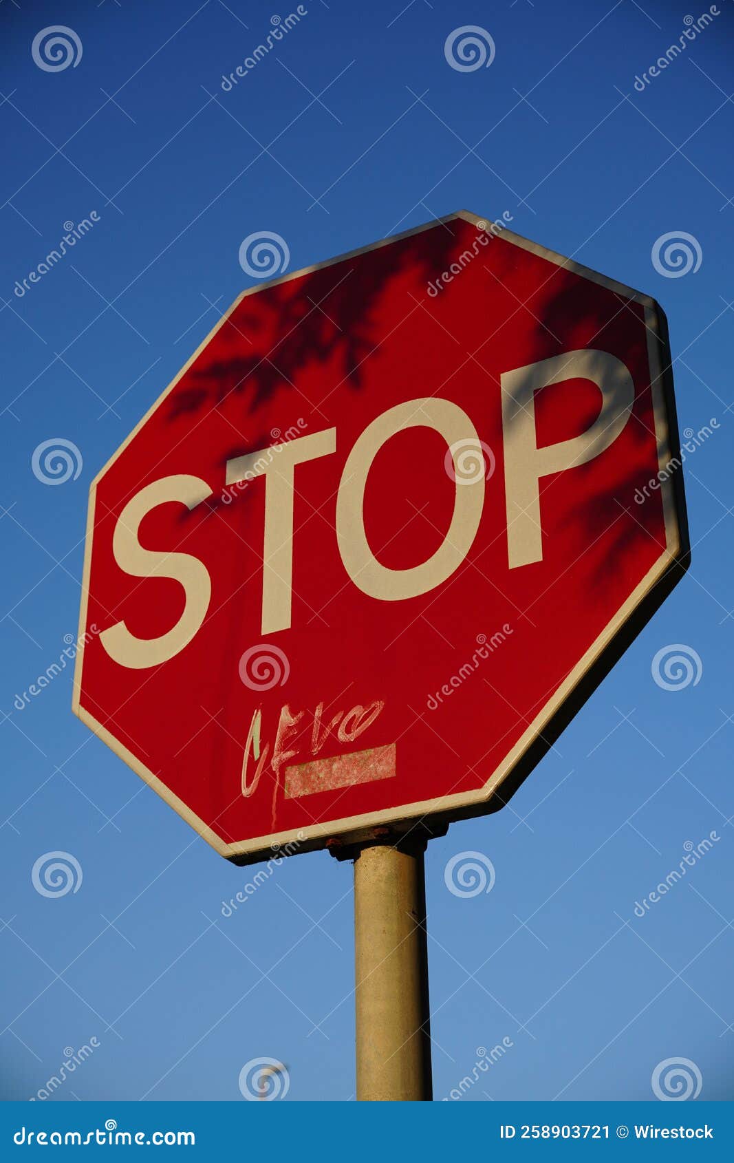 Vertical Shot of a Stop Sign Stock Image - Image of warning, signal ...