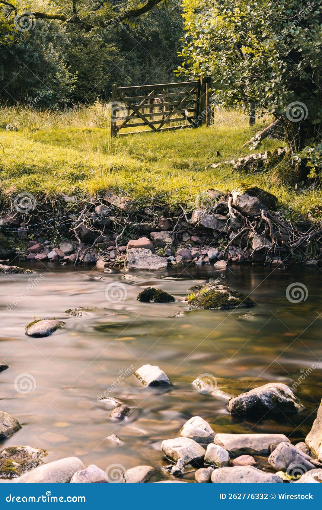 Vertical Shot of a Stream and Gate in Dappled Light in the Brecon ...