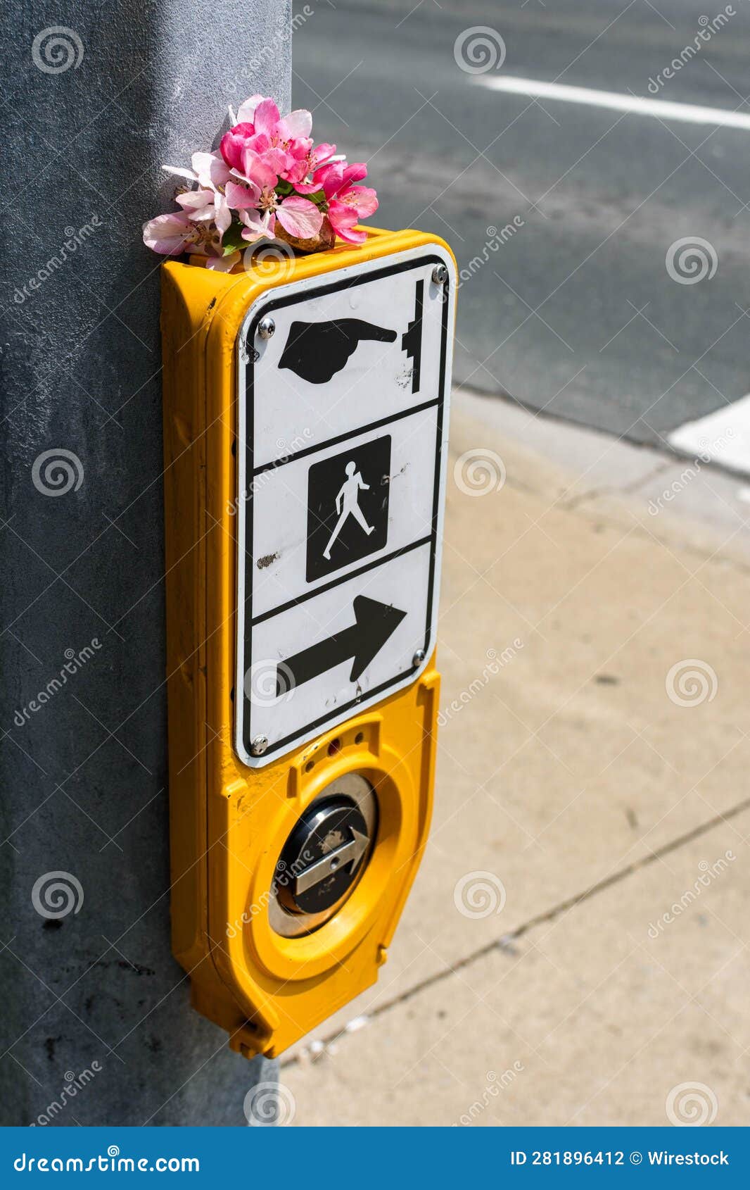 Vertical Shot of a Street Pedestrian Crossing Button Editorial ...
