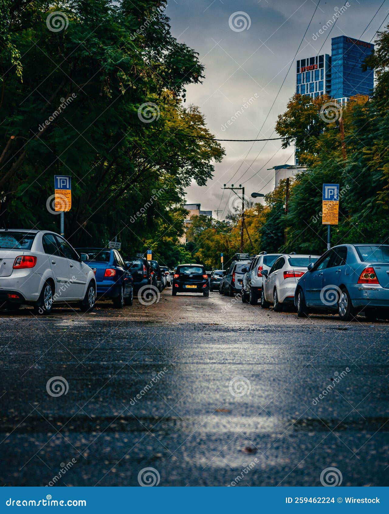 Vertical Shot of a Street on a Rainy Day Editorial Stock Image - Image ...