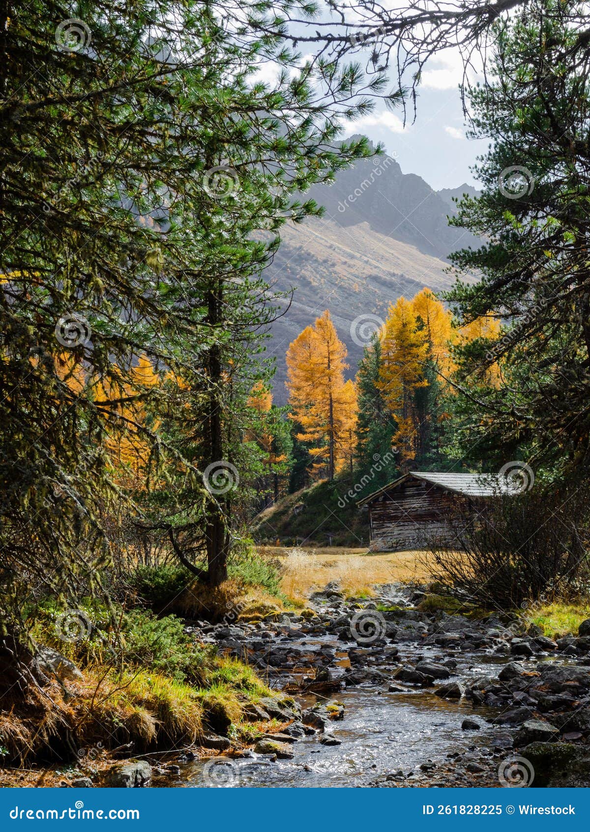 Vertical Shot of a Swiss Chalet in Fall Woods Stock Image - Image of ...