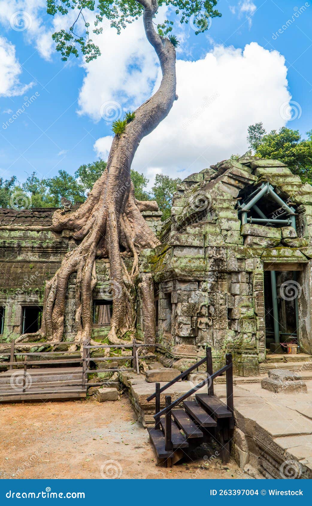Vertical Shot of the Ta Prohm Temple Inside Angkor Wat Complex in ...