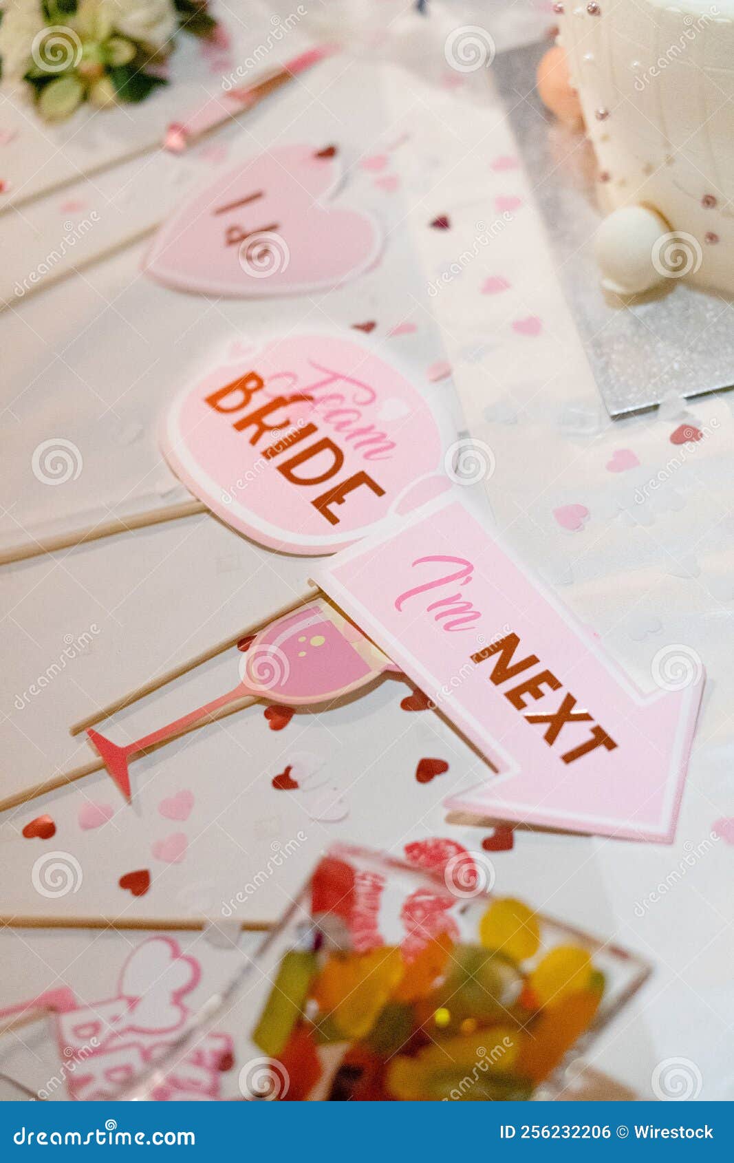 Vertical Shot of Team Bride Signs in Pink Color Stock Photo - Image of ...