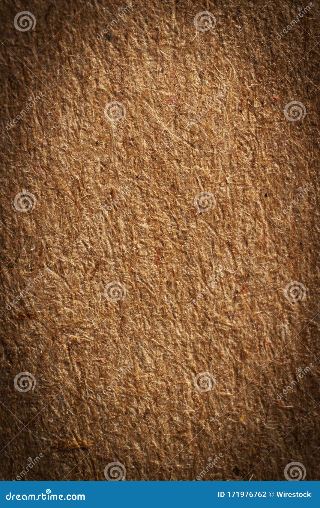 Vertical Shot of the Textures of a Wooden Surface Stock Photo - Image ...