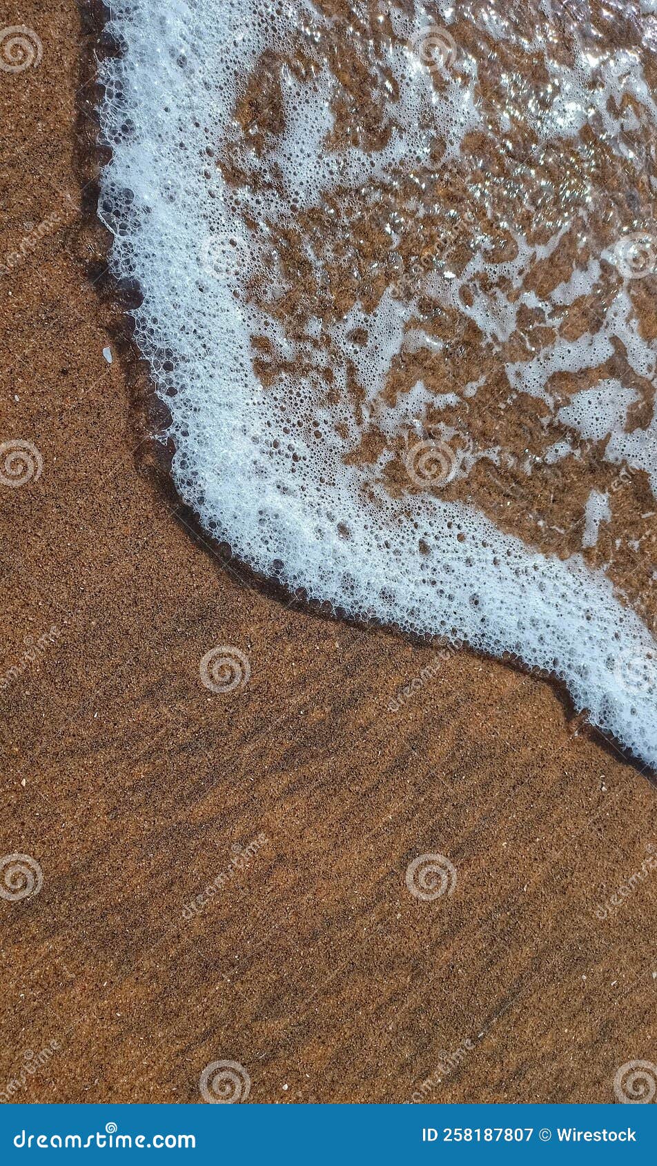 Vertical Shot of a Tidal Foam on a Beach Sand Stock Image - Image of ...
