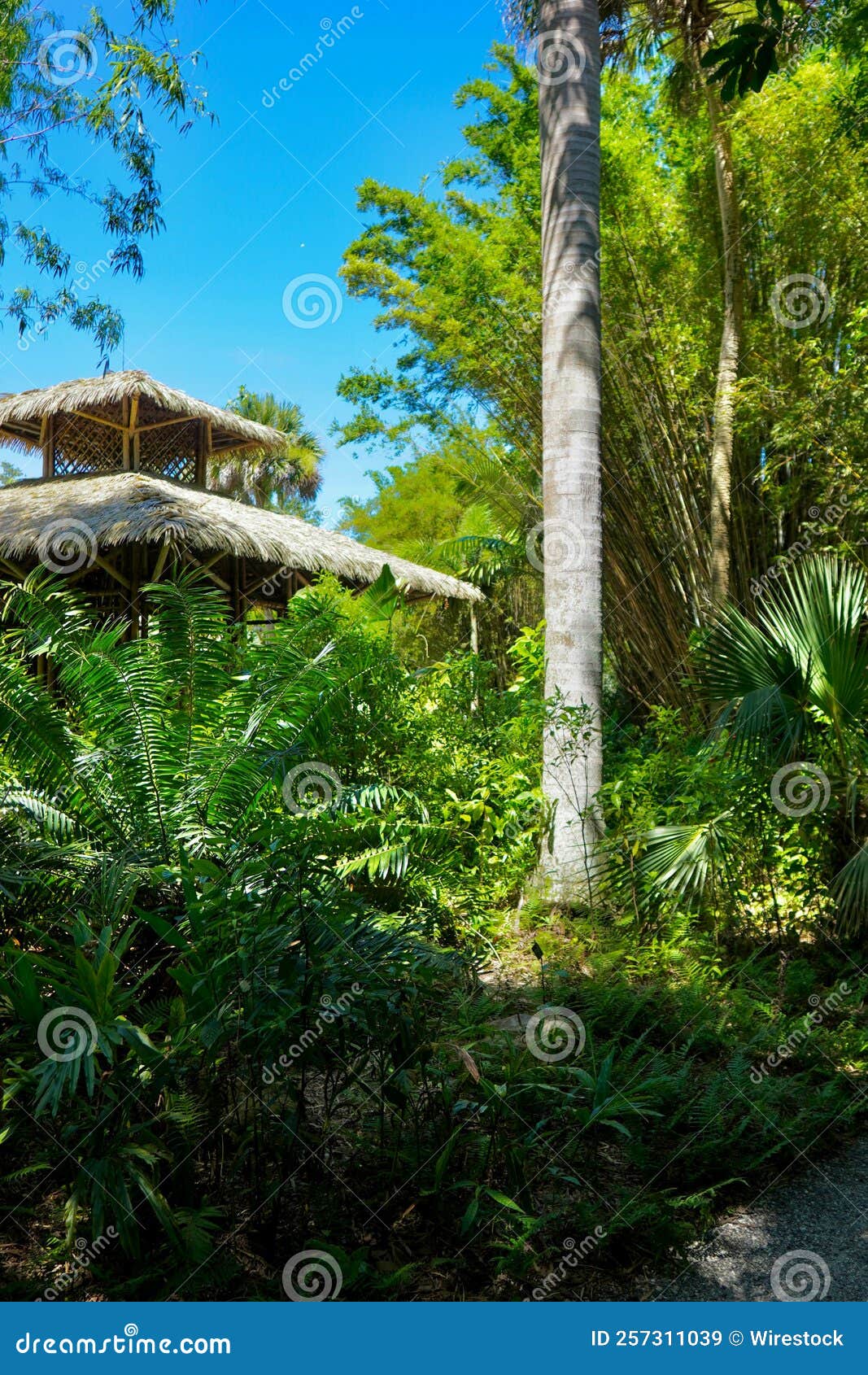 Vertical Shot of a Tiki Hut Amid a Forest Jungle Stock Image - Image of ...
