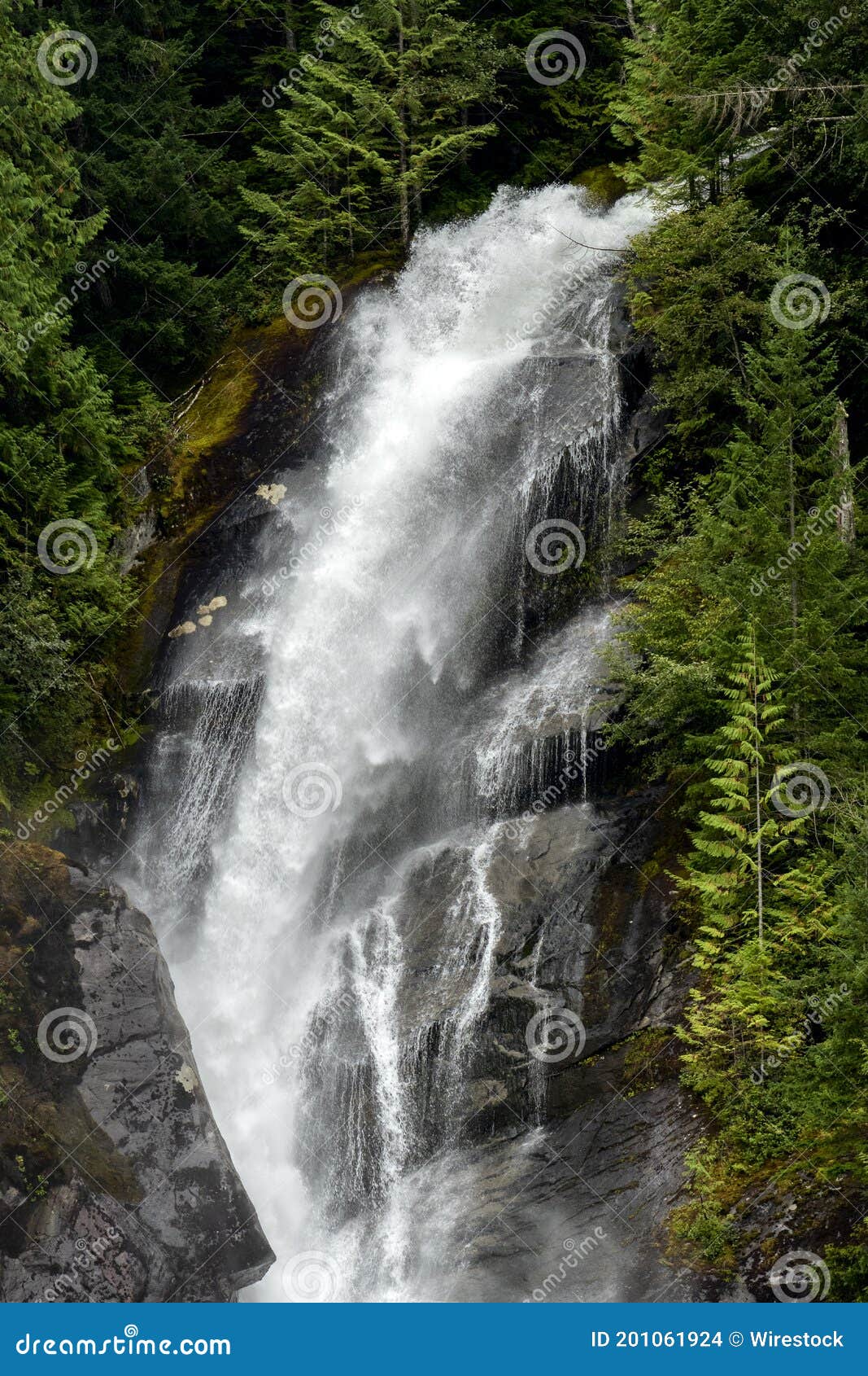Vertical Shot of a Toba Inlet in BC Canada Stock Photo - Image of ...
