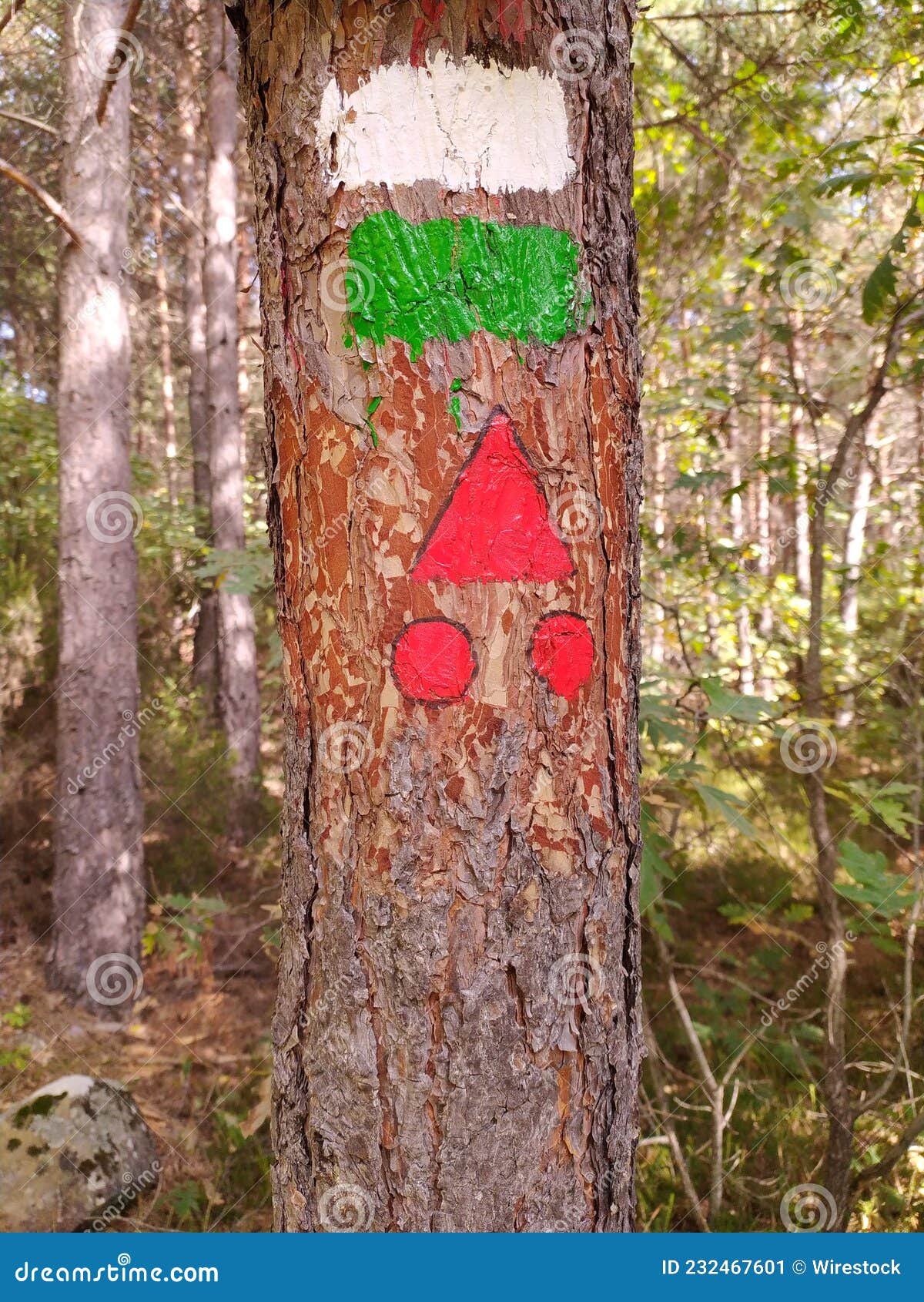 Vertical Shot of Trail Signs Marked on a Tree Trunk Stock Image - Image ...