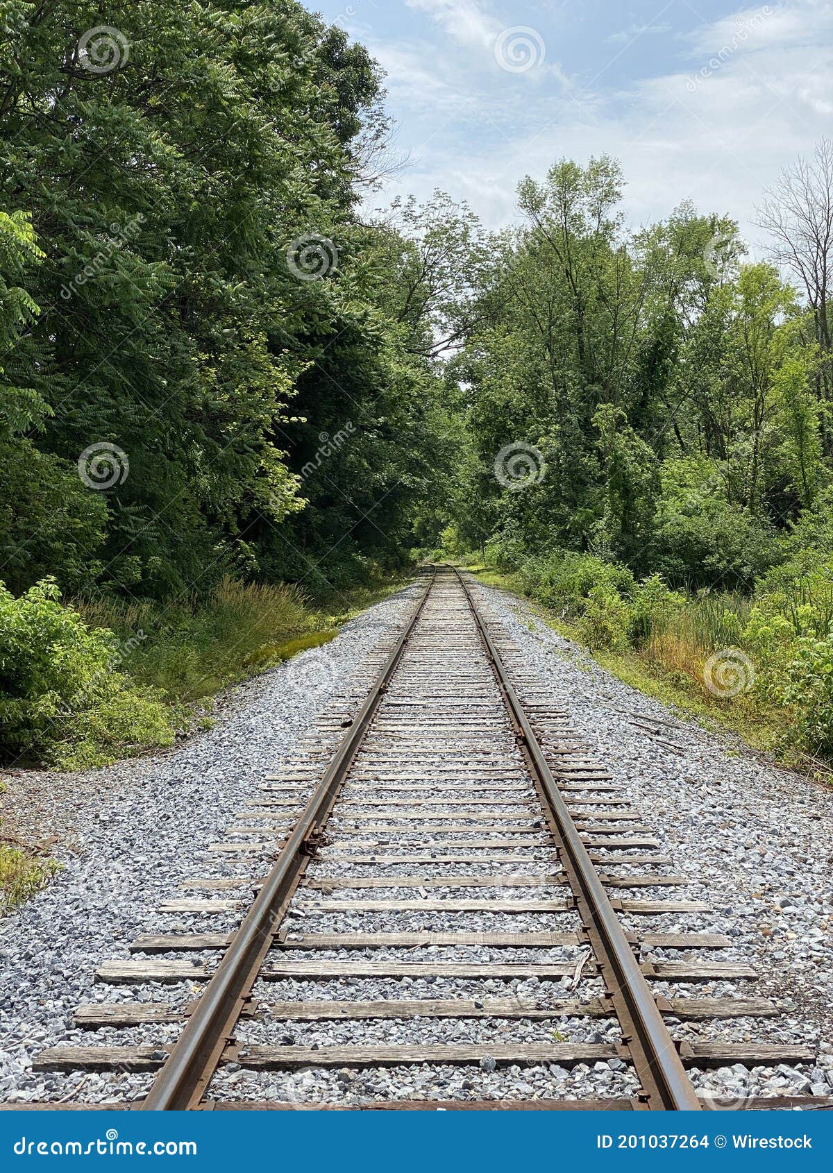 Vertical Shot of Train Rails Surrounded by Trees Stock Photo - Image of ...