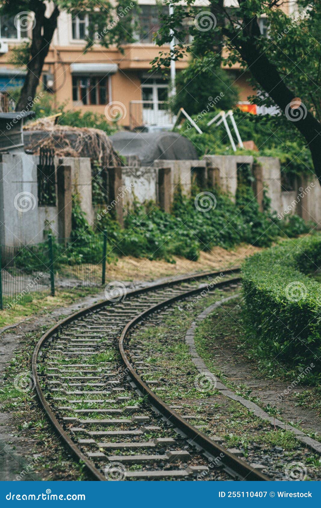 Vertical Shot of Train Tracks and Greenery Stock Image - Image of curve ...