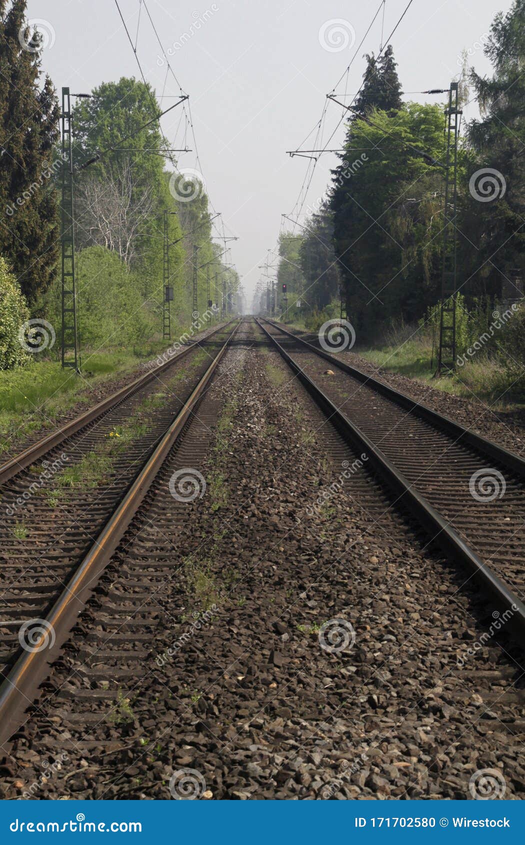 Vertical Shot of Train Tracks in the Middle of Green Trees Stock Photo ...