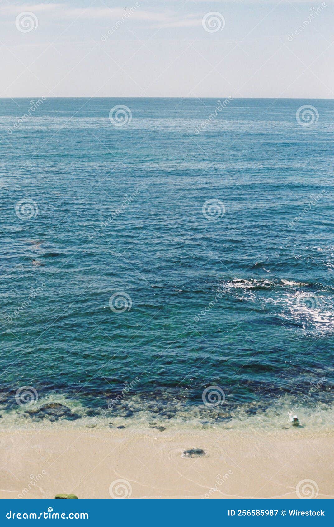 Vertical Shot of Tranquil Sea Waves Hitting a Sandy Shore Stock Image ...