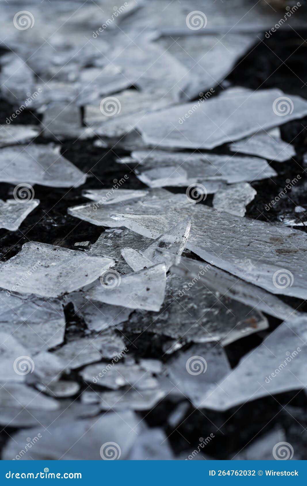 Vertical Shot of Transparent Ice Shards Stock Photo - Image of snow ...