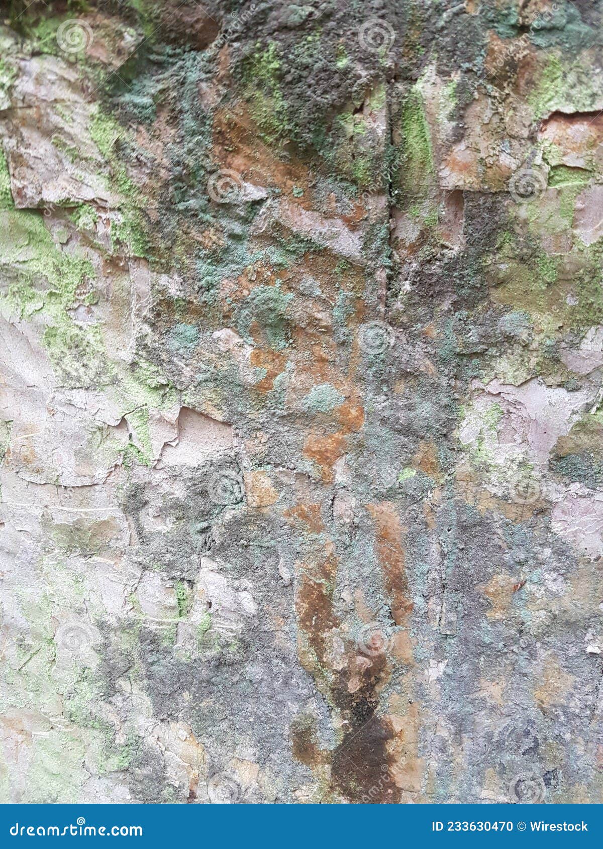 Vertical Shot of Tree Bark Texture Stock Photo - Image of wooden ...