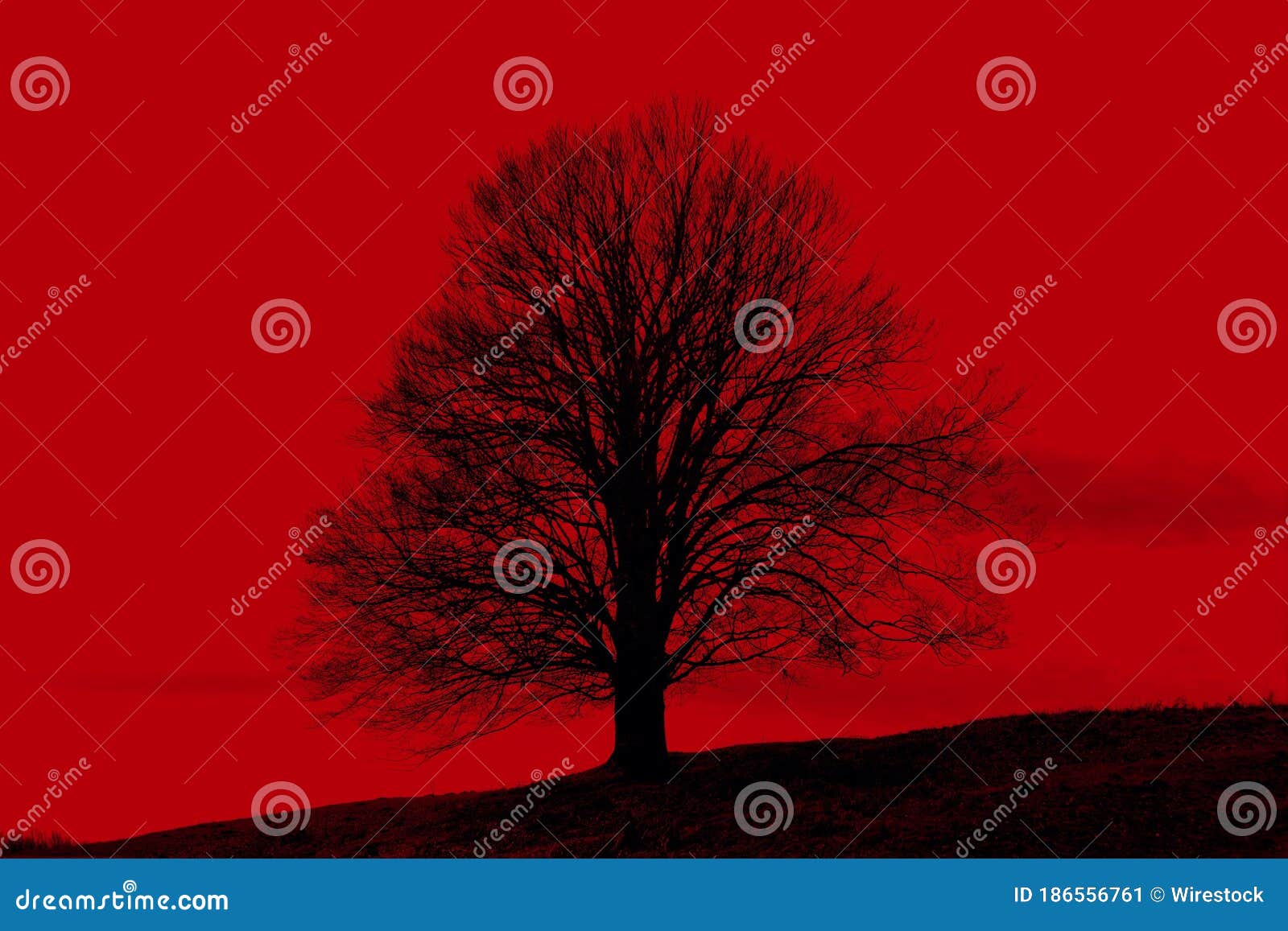 Vertical Shot of a Tree with Red Light Effects - Great for Wallpapers ...