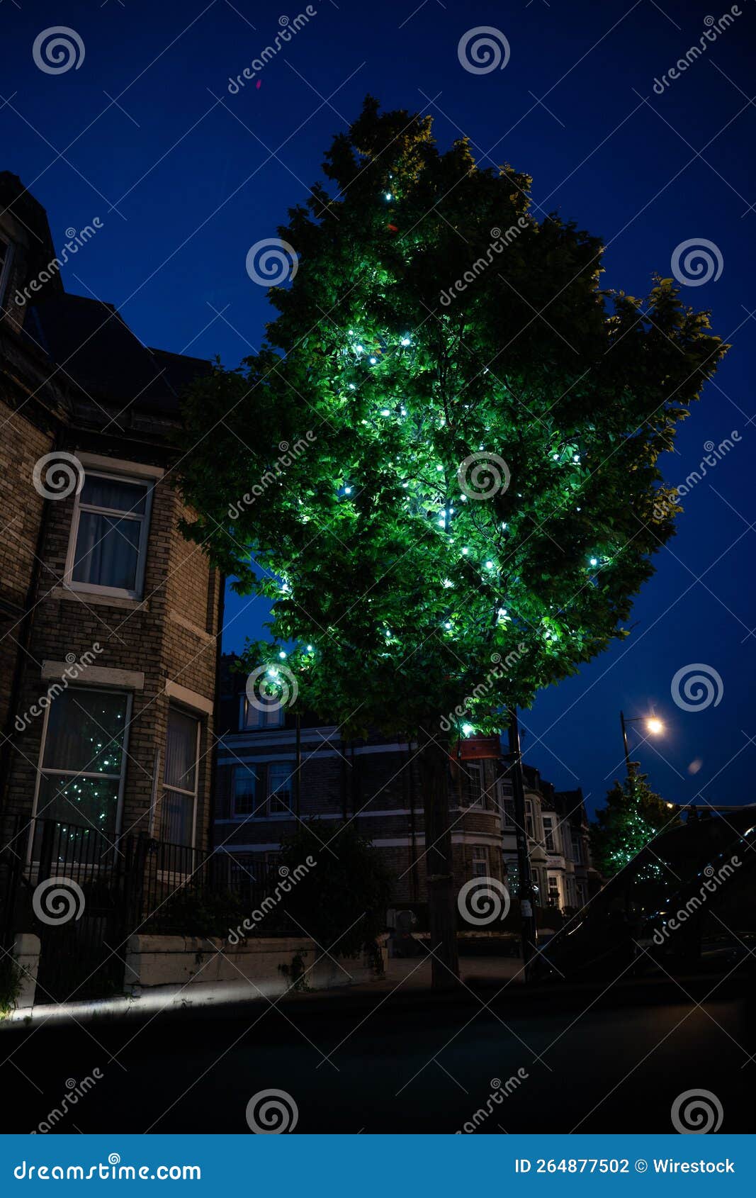 Vertical Shot of a Tree in the Street Decorated with Christmas Lights ...