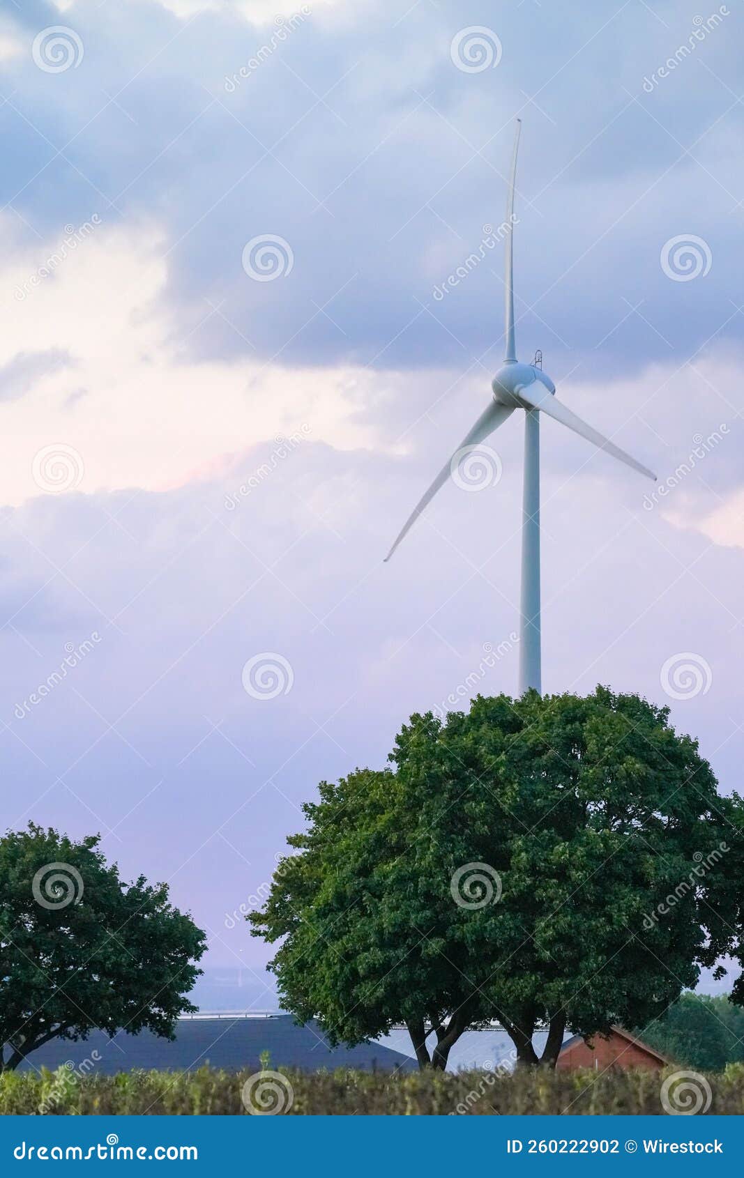 Vertical Shot of Trees Growing in Front of a Windmill on a Field in the ...
