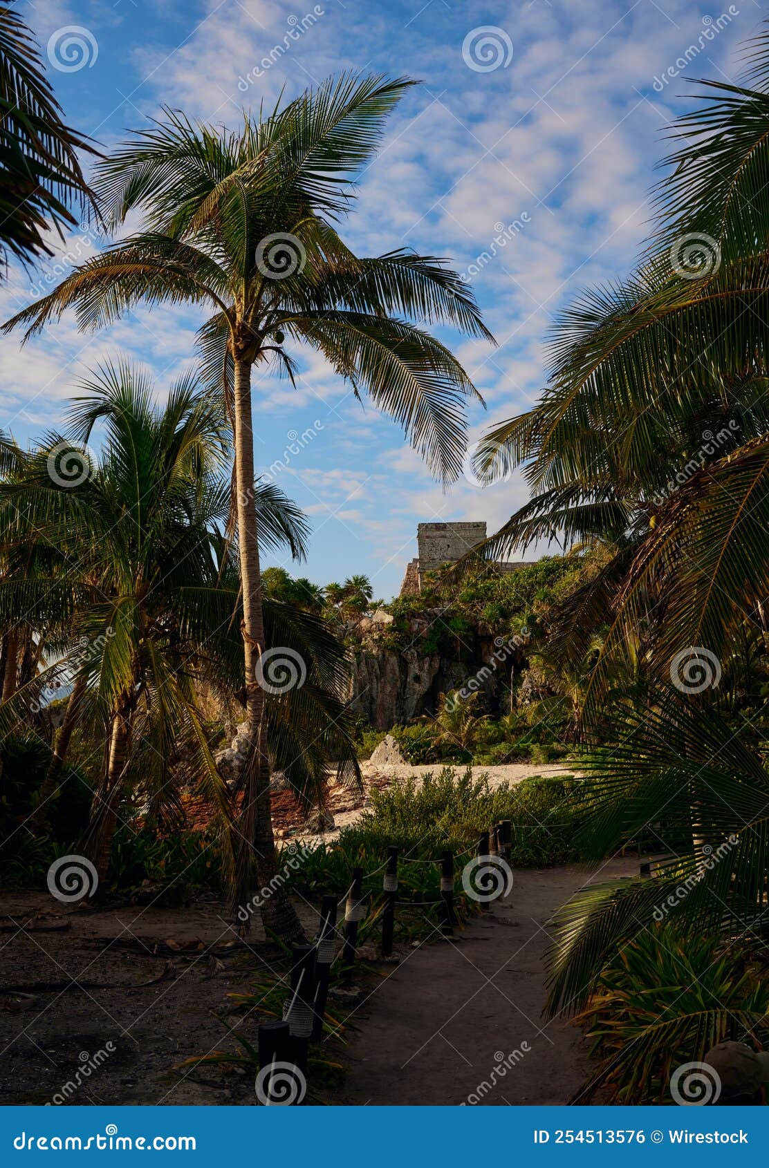 Vertical Shot of the Tulum Ruins Surrounded by Vegetation Stock Photo ...