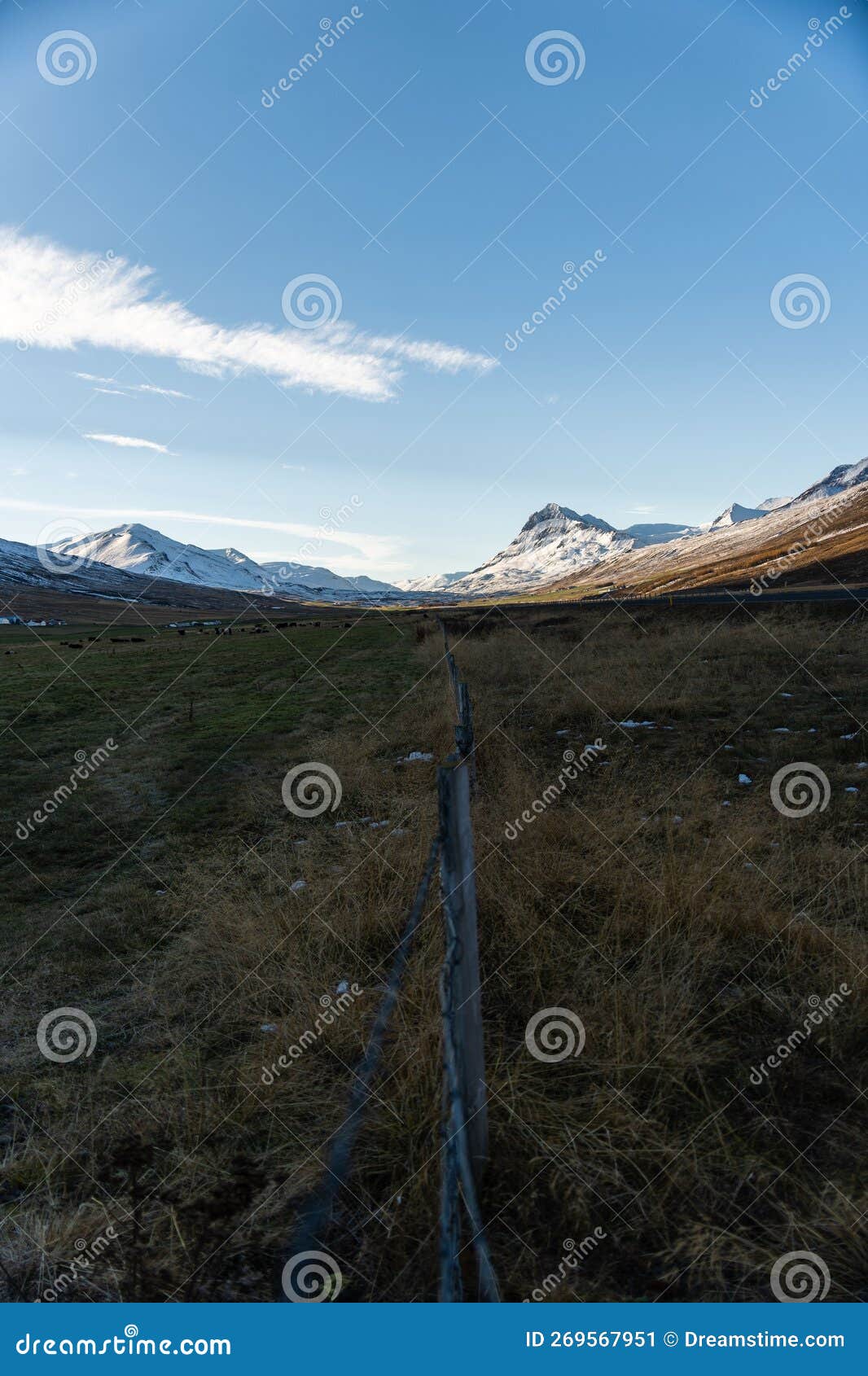 Vertical Shot of Two Grass Fields Separated by a Wire Mesh Fence in a ...