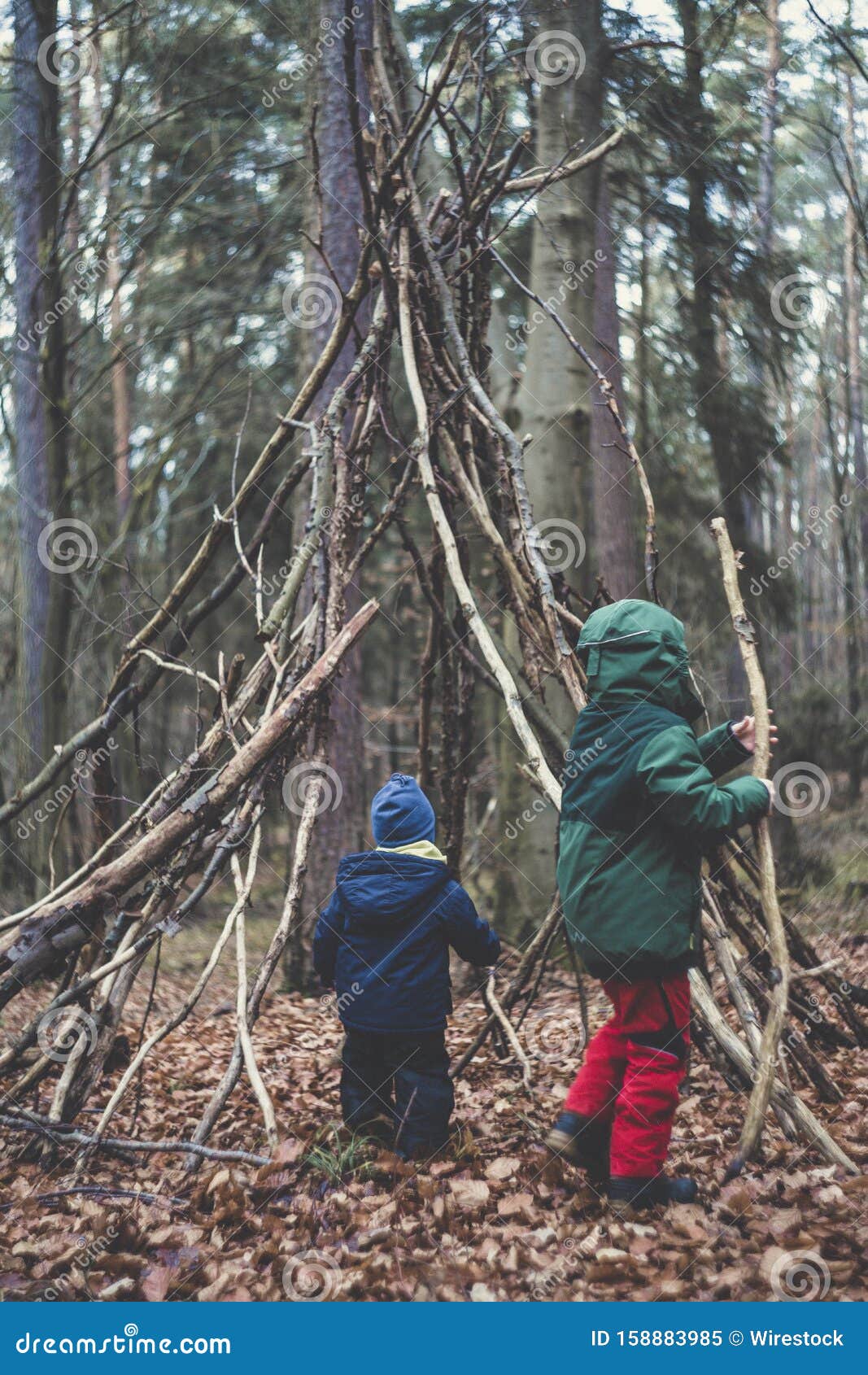 Vertical Shot of Two Kids Playing with Tree Branches in the Forest ...