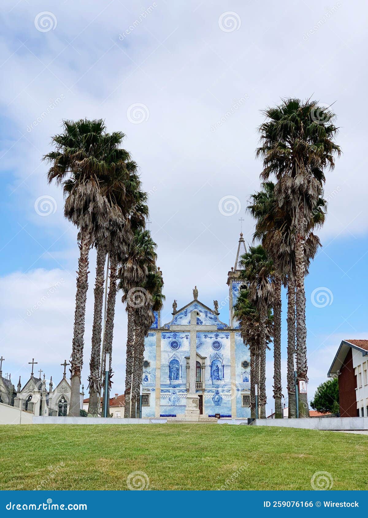 Vertical Shot of Two Rows of Palm Trees in Front of a Cathedral Stock ...