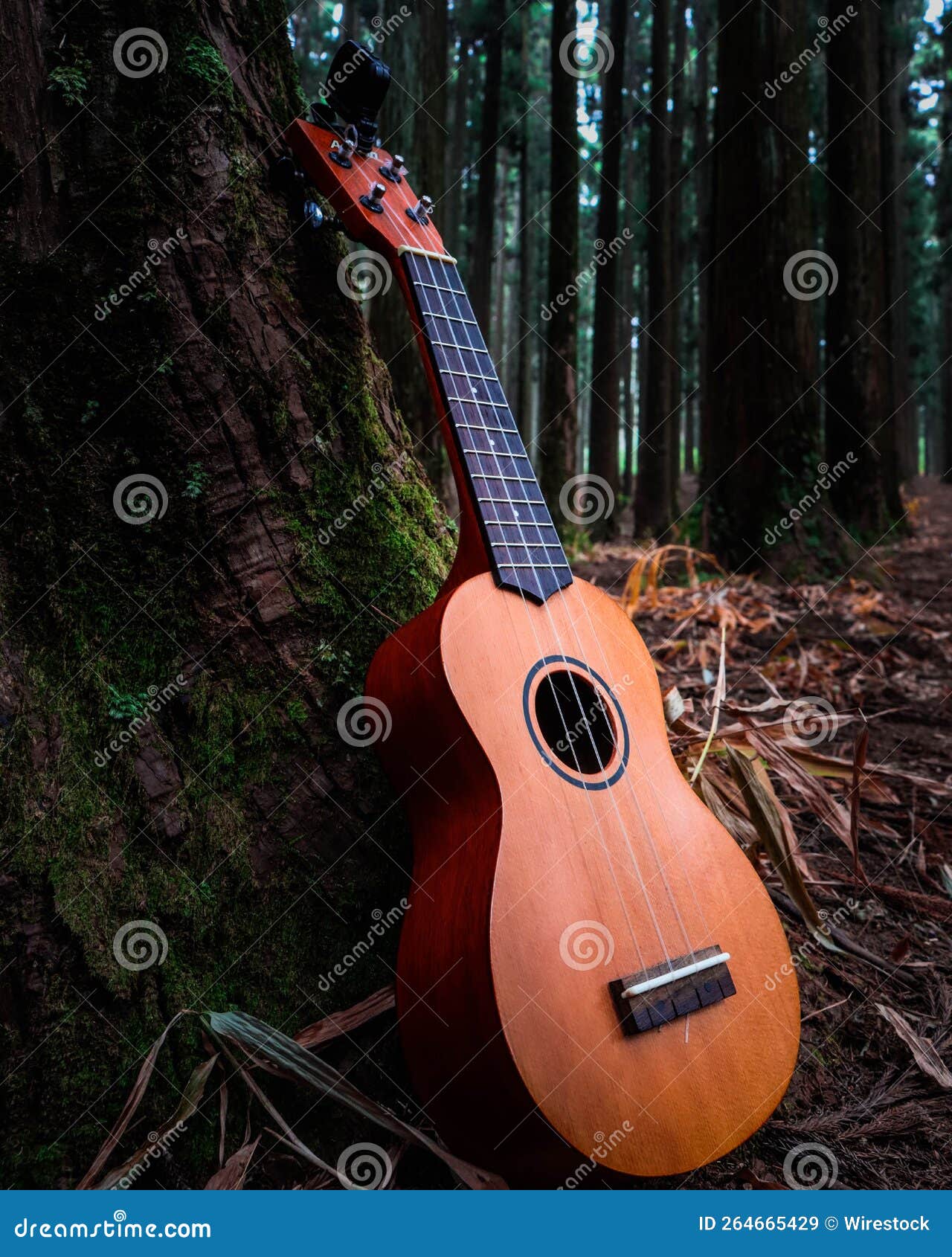 Vertical Shot of an Ukulele Leaned on a Tree Stock Image - Image of ...