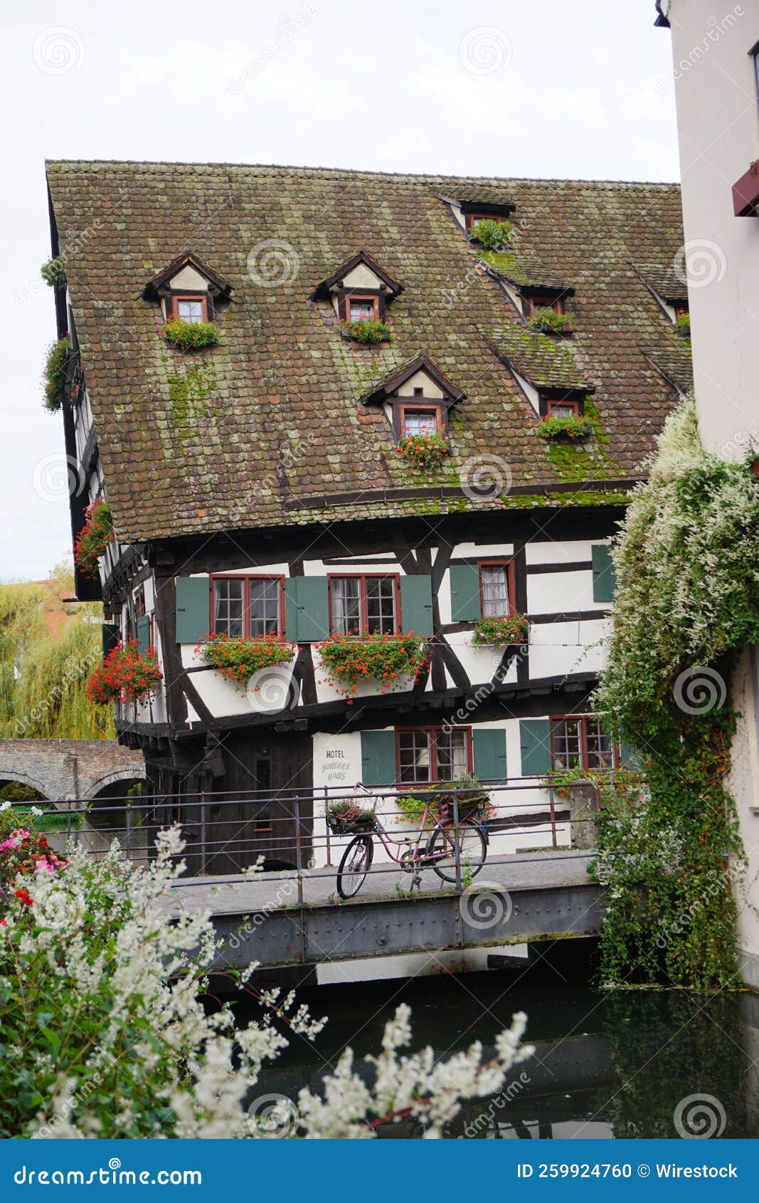 Vertical Shot of a Vintage Rustic-style House with Moss and Windows on ...