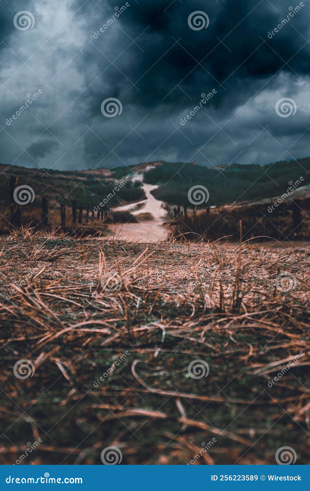 Vertical Shot of a Walking Path in the Mountains in the Stormy Weather ...
