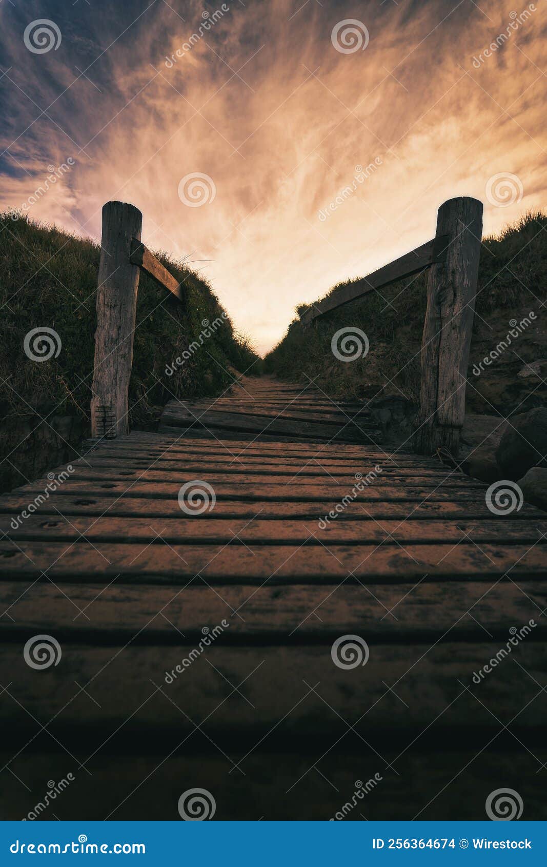Vertical Shot of a Walking Path with a Sunset View in the Background ...